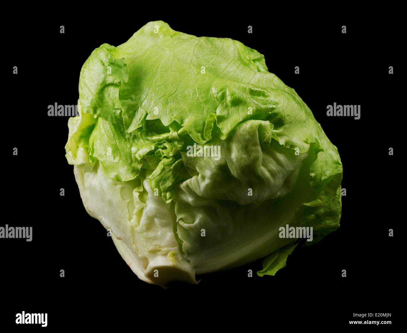 Single whole lettuce Stock Photo - Alamy
