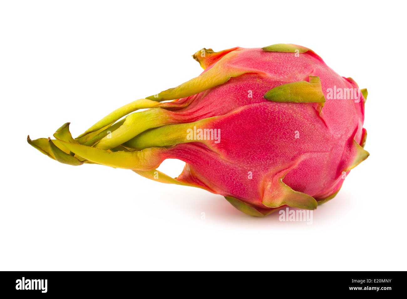 Pitahaya cactus hi-res stock photography and images - Alamy