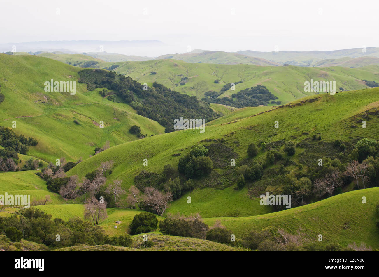 Hills rolling hi-res stock photography and images - Alamy