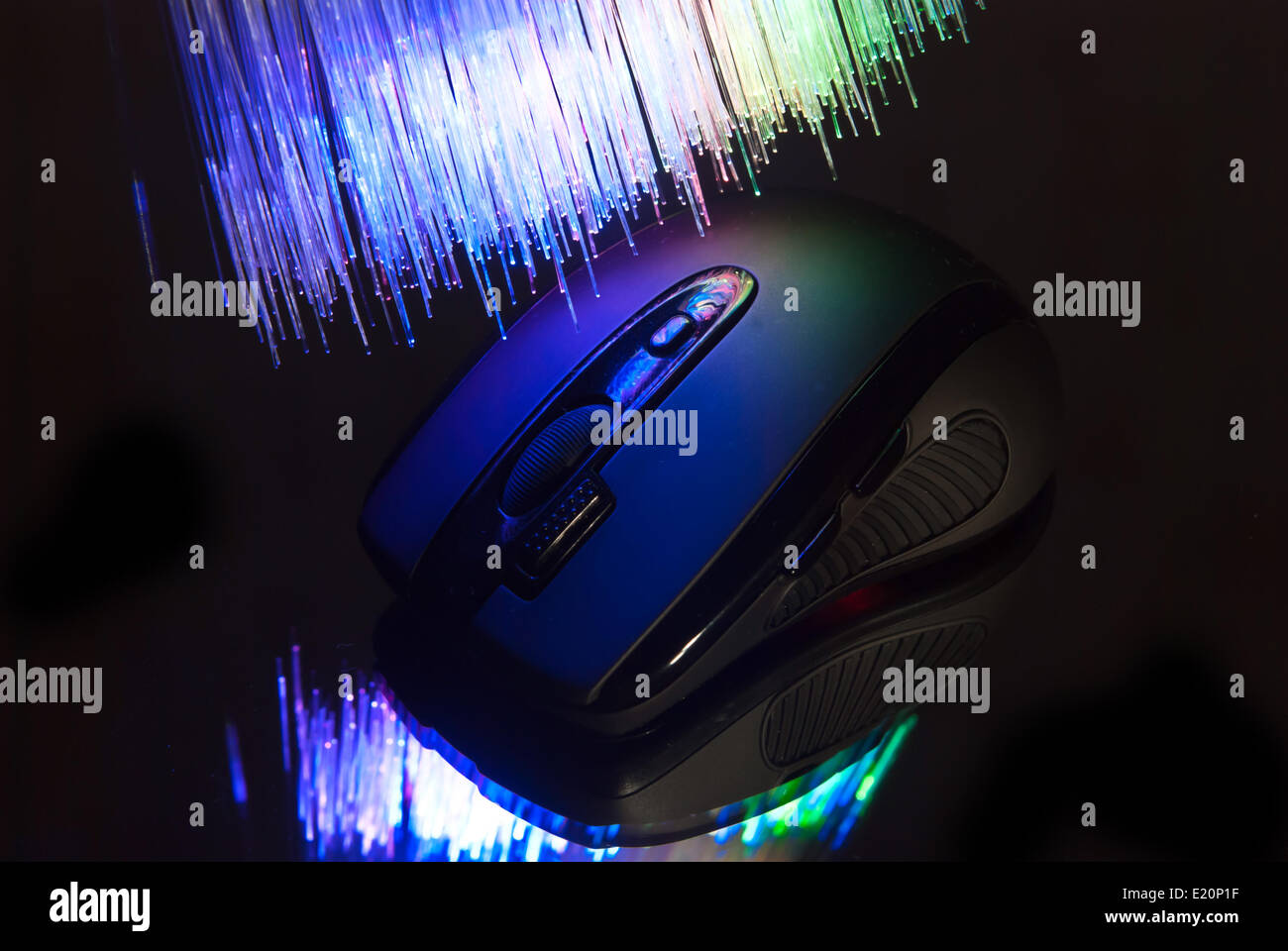 Mouse Front View Stock Photos & Mouse Front View Stock Images - Alamy