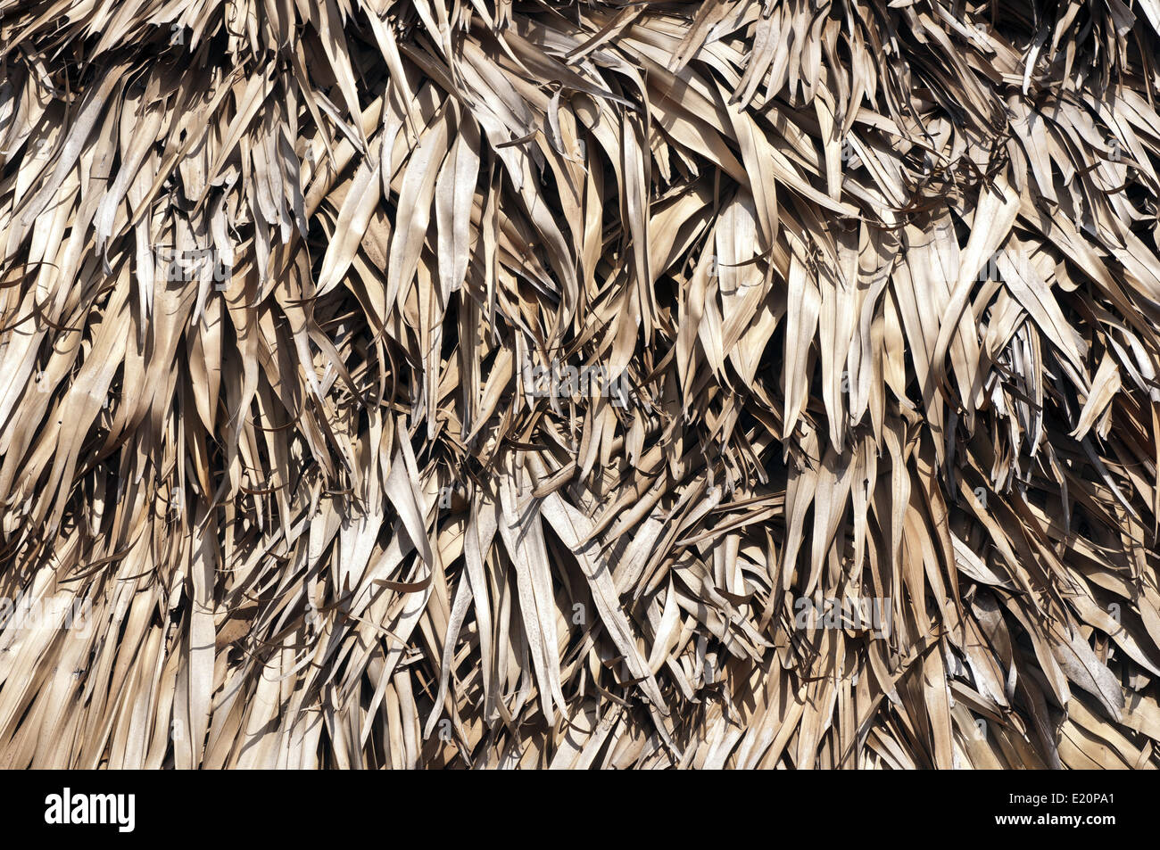 Thatched pattern hi-res stock photography and images - Alamy