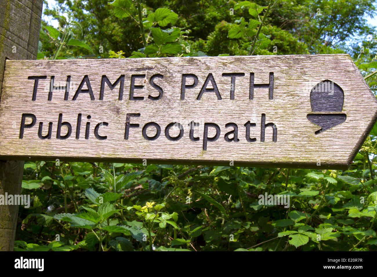 Wooden sign for the Thames Path, a Public Footpath in rural England ...