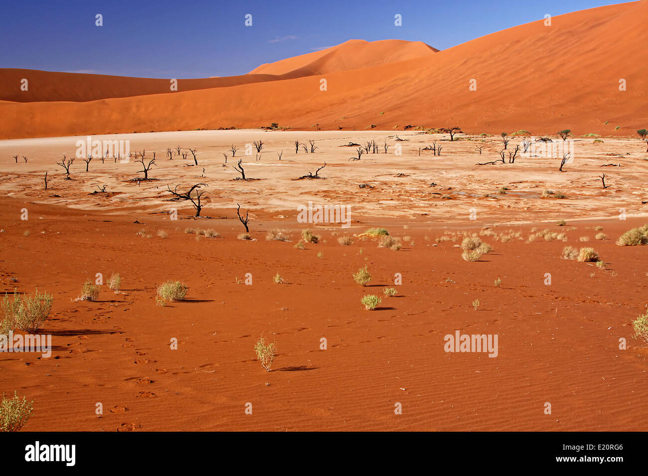 Dead Vlei, Namib-Desert, Namibia Stock Photo - Alamy