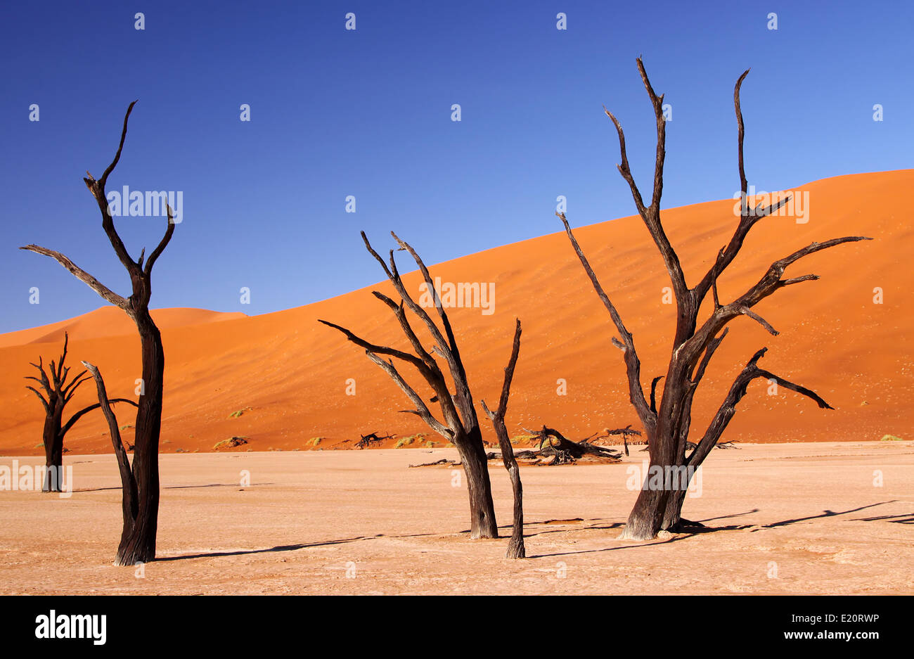 Dead Vlei, Namib-Desert, Namibia Stock Photo - Alamy