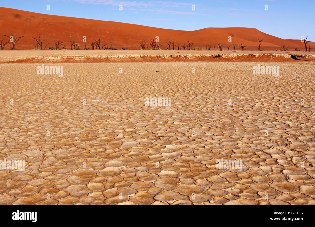 Dead Vlei, Namib-Desert, Namibia Stock Photo - Alamy