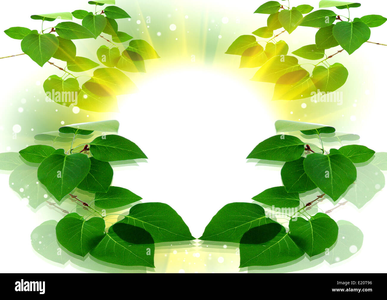 Abstract blue sky forest Cut Out Stock Images & Pictures - Alamy