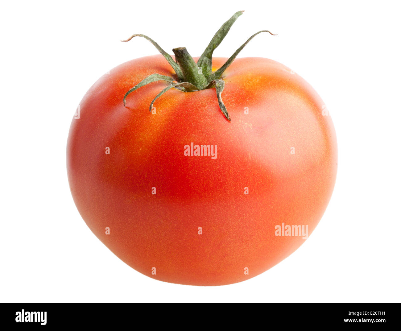 Vegetables isolated growing tomatoes hi-res stock photography and ...