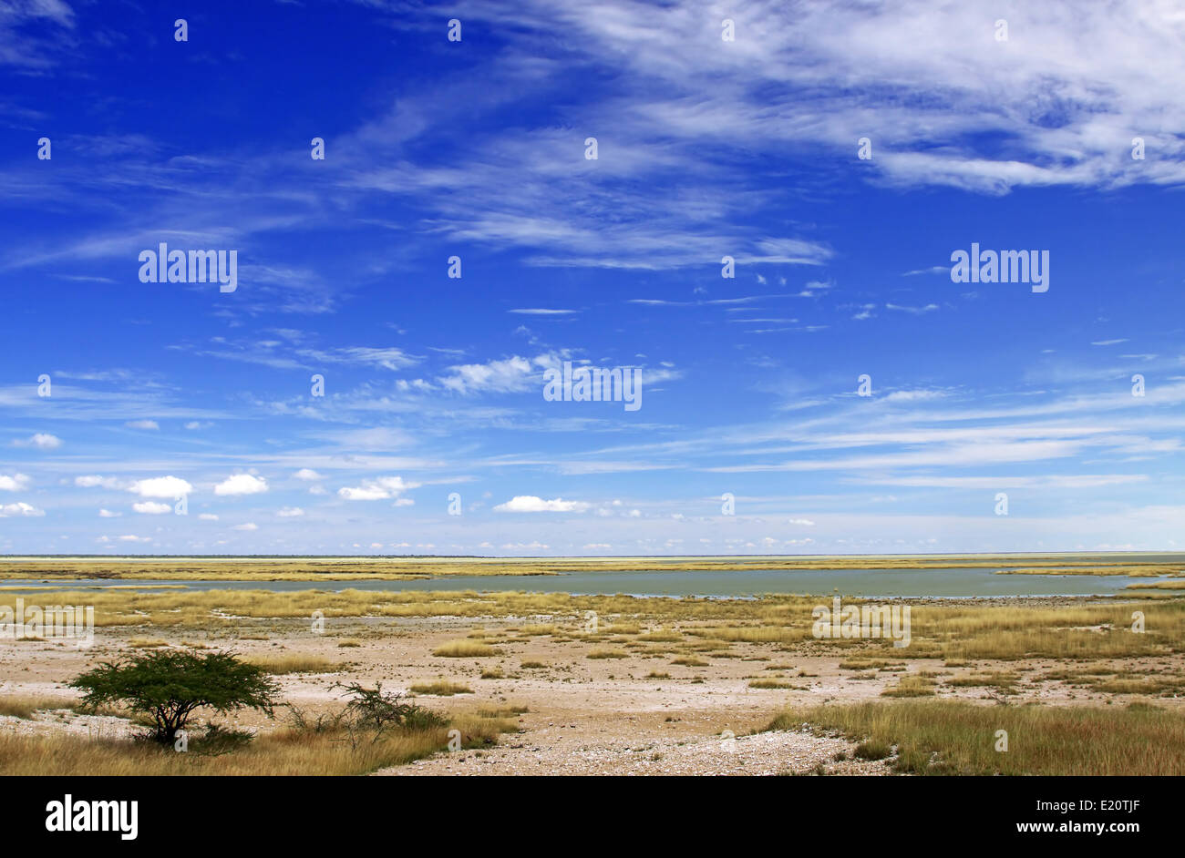 Etosha-Pan with water, Namibia Stock Photo - Alamy