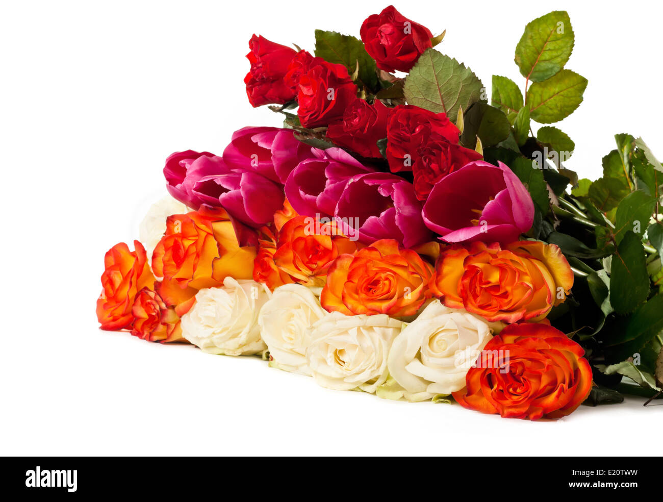 Roses and tulips Stock Photo - Alamy