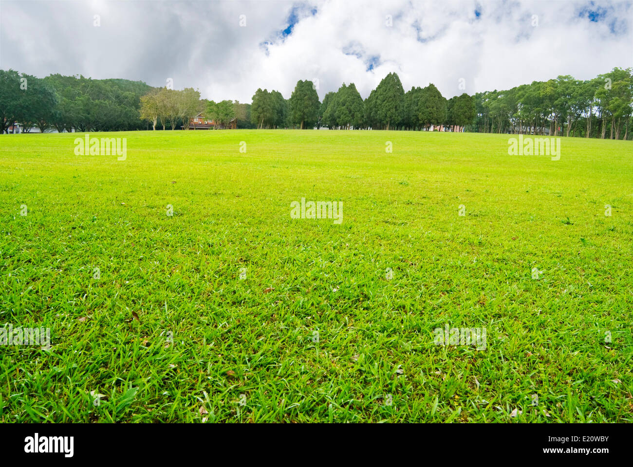 Soft Green plain with trees Stock Photo - Alamy
