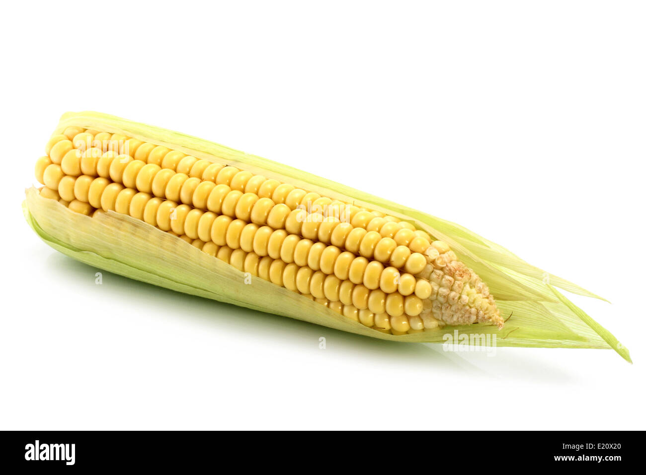 Corn on white background Stock Photo - Alamy