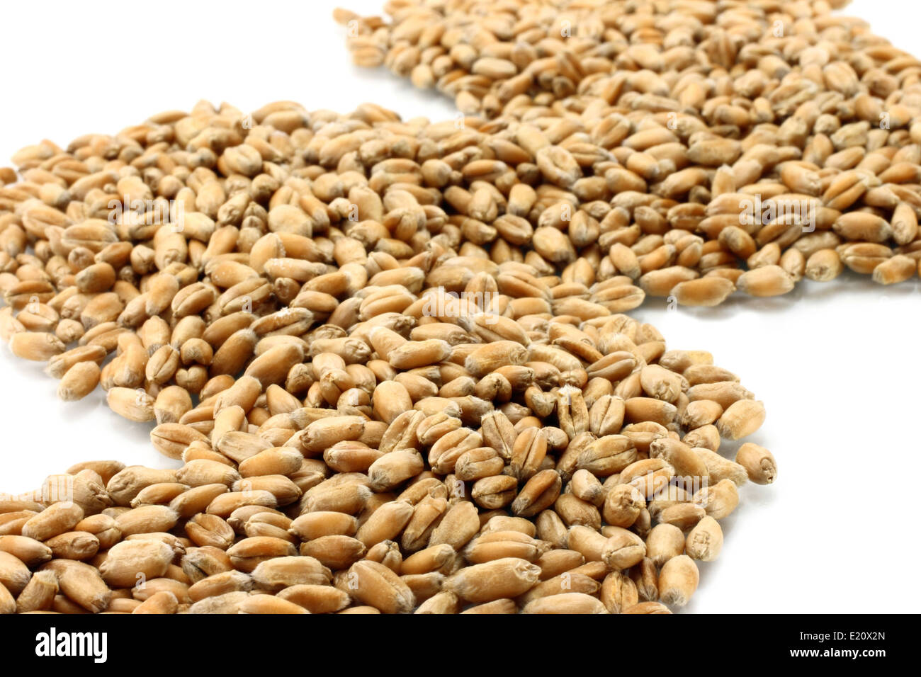 Wheat path seeds on a white background Stock Photo - Alamy