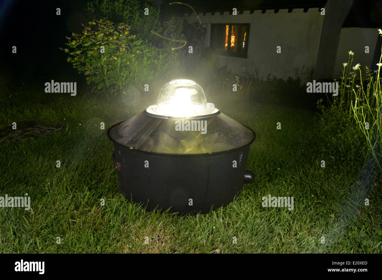 Moths light garden hi-res stock photography and images - Alamy