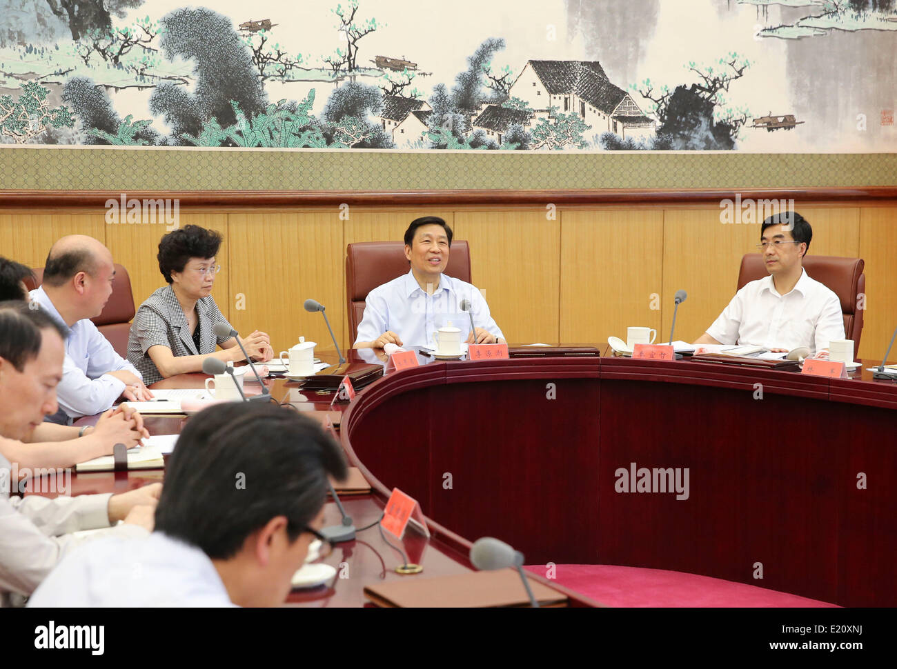 Beijing, China. 12th June, 2014. Chinese Vice President Li Yuanchao ...