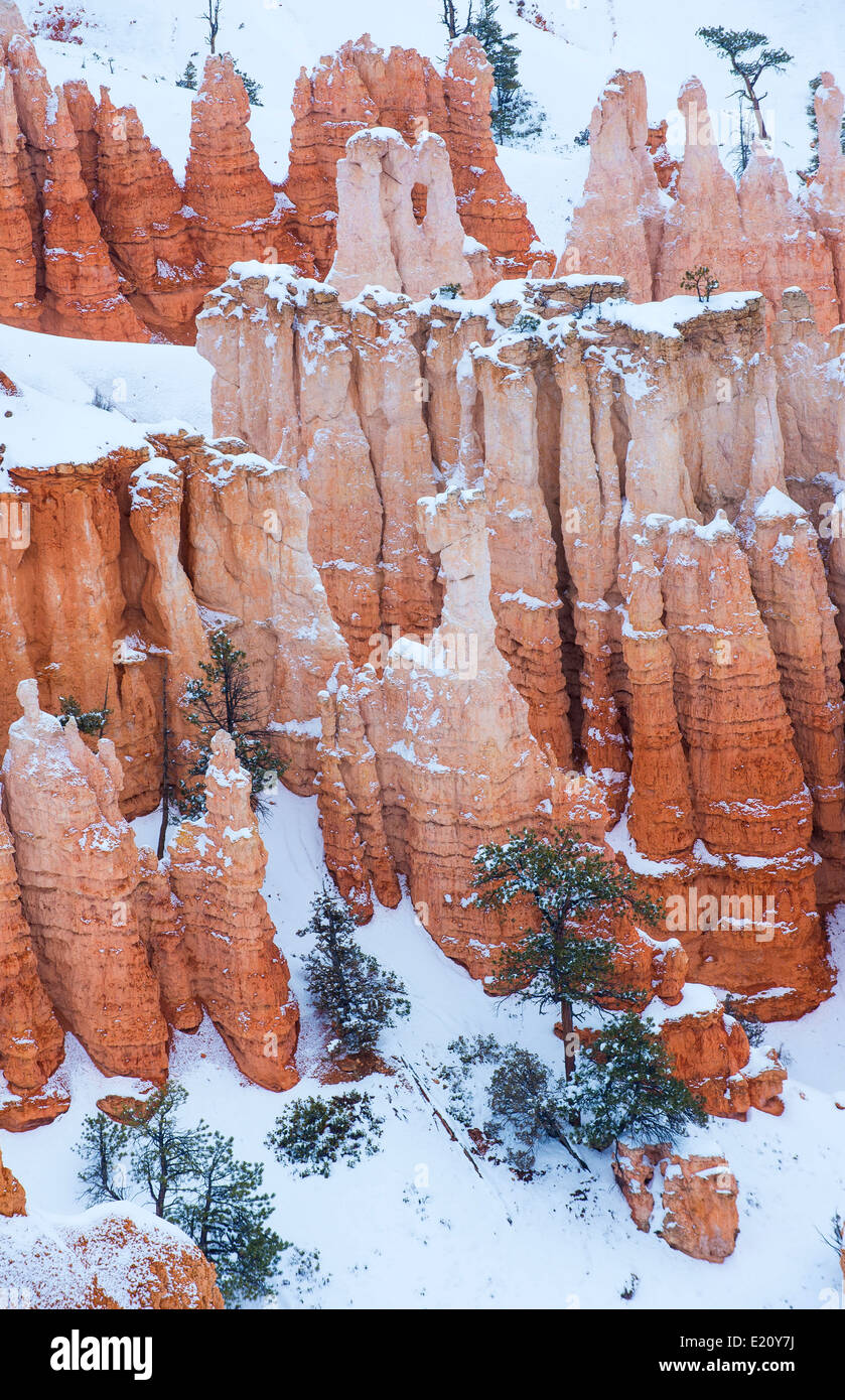 Bryce Canyon National Park, Utah in snow Stock Photo - Alamy