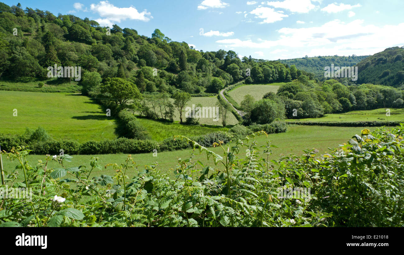 Llanwrda hi-res stock photography and images - Alamy