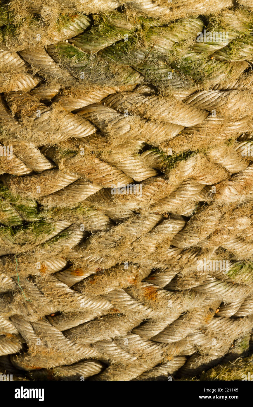 Close up of wound rope, background, texture Stock Photo - Alamy