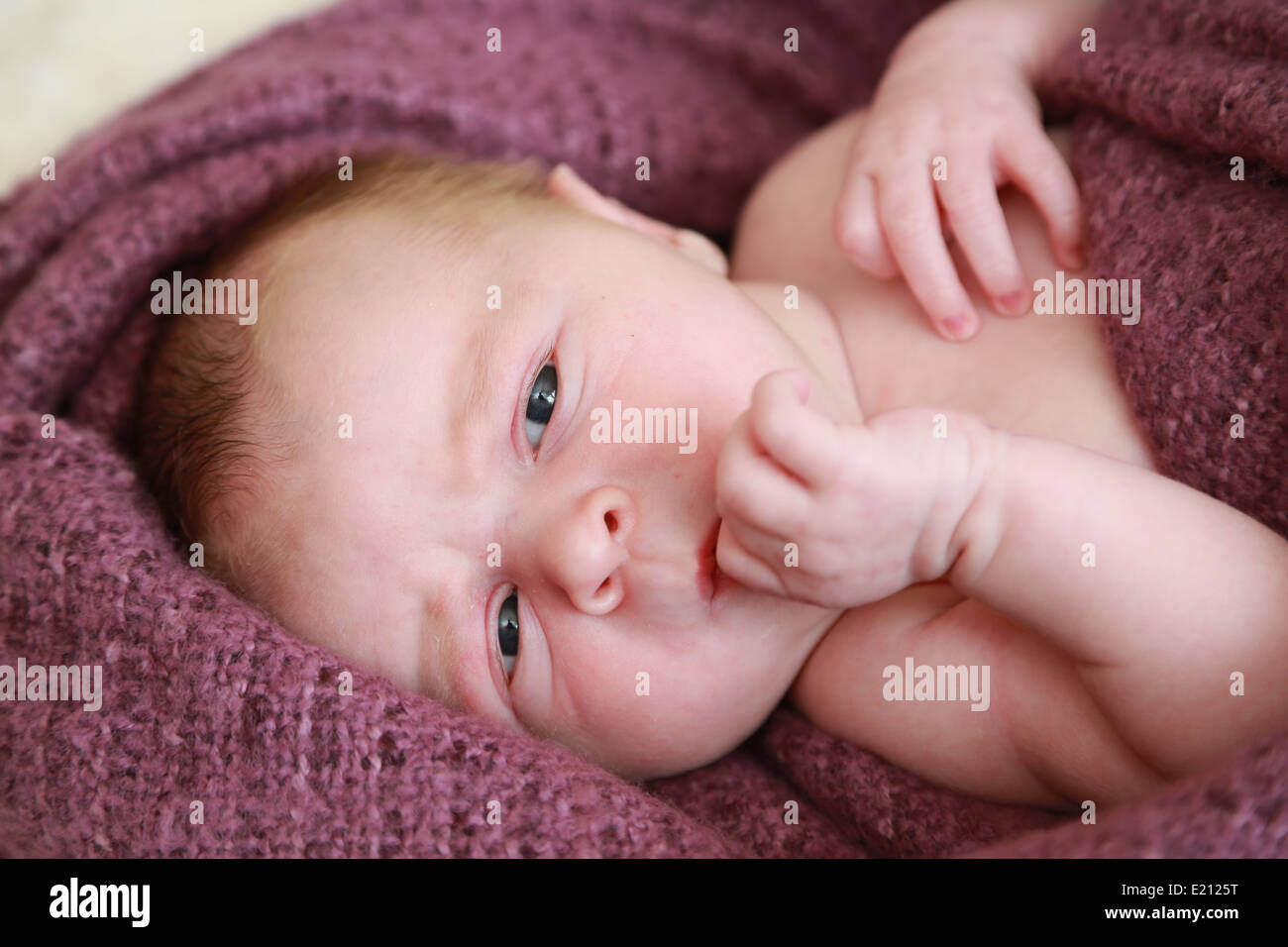 Newborn baby Boy 10 days Old Stock Photo - Alamy