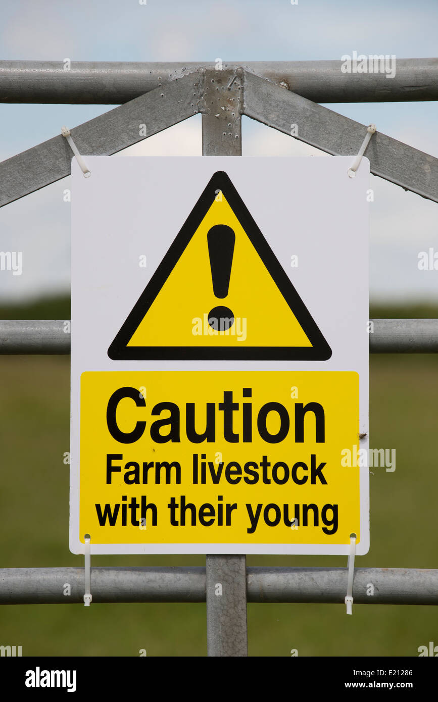 Farm gate warning notice Livestock and young animals in field Stock ...