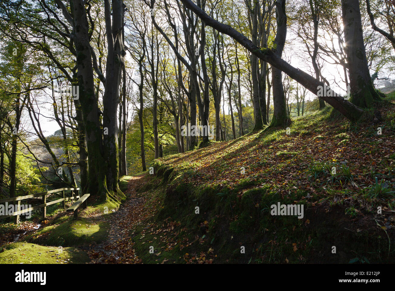 Valley of the dhoon hi-res stock photography and images - Alamy