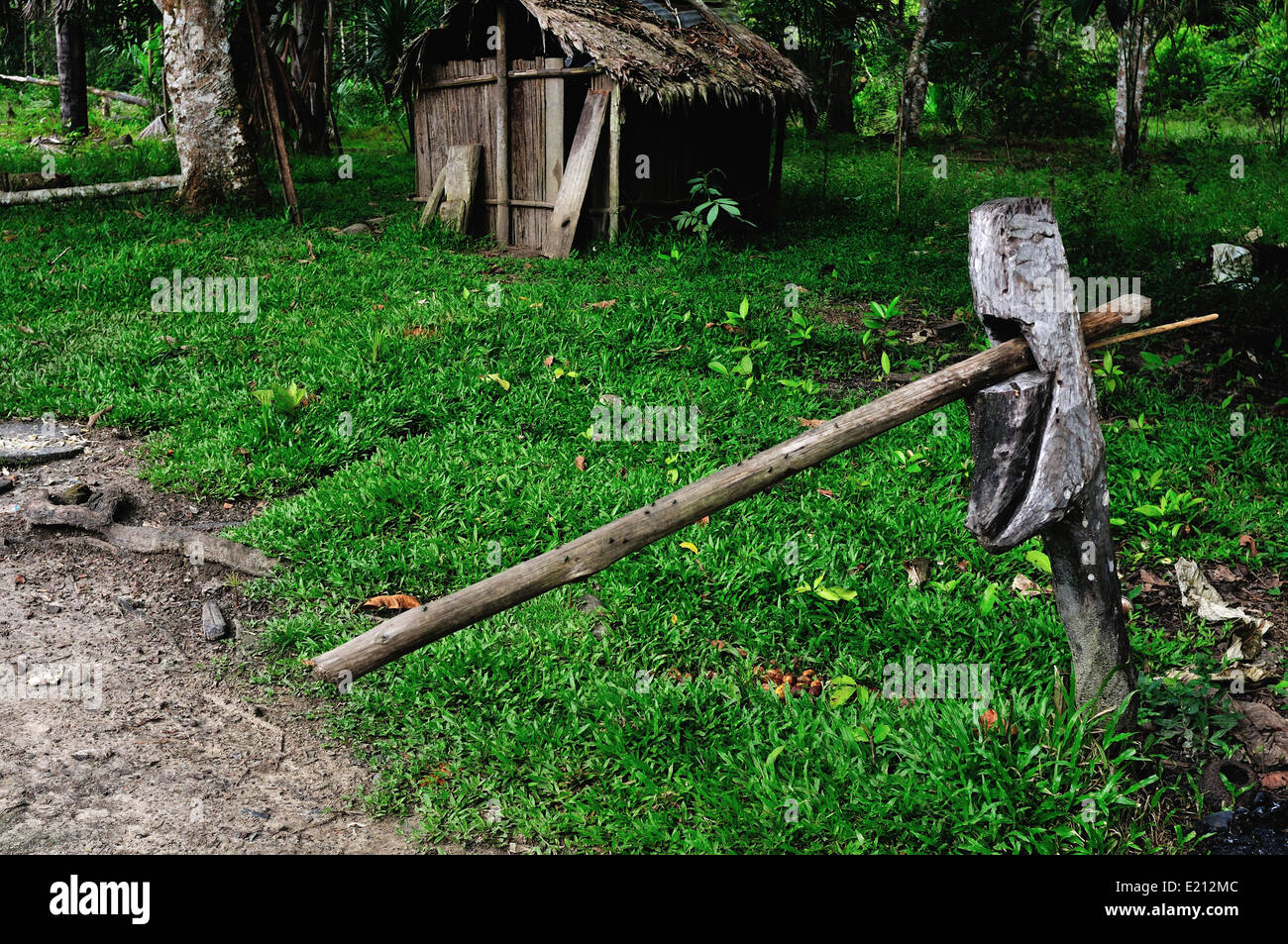 Trapiche - Make Guarapo ( Sugarcane juice ) in Industria - PANGUANA ...