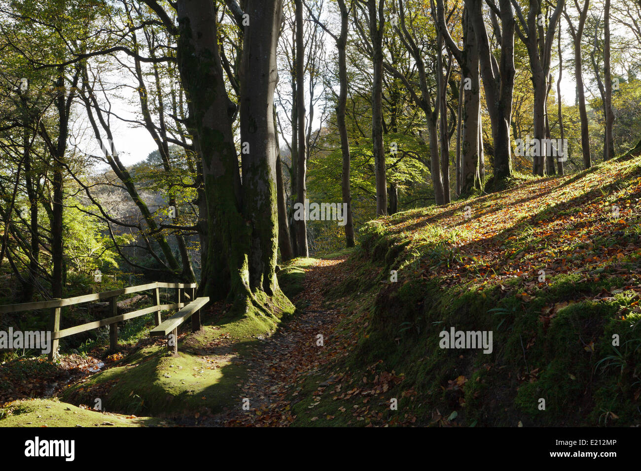Dhoon Glen, Isle of Man Stock Photo - Alamy