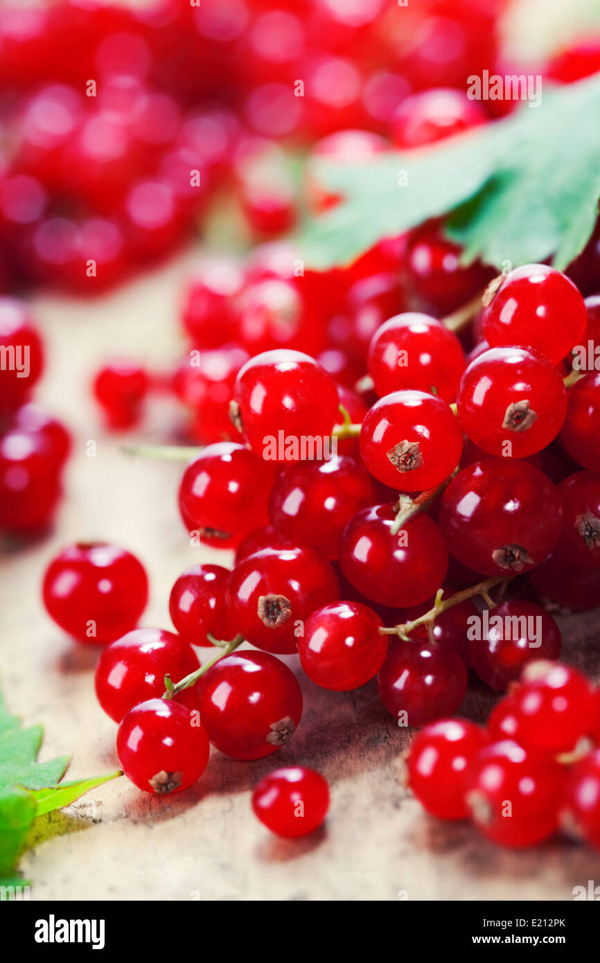 Red currant berries hi-res stock photography and images - Alamy
