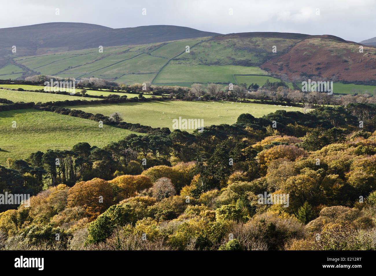 View across Ballaglass Glen towards Snaefell, near Maughold, Isle of ...