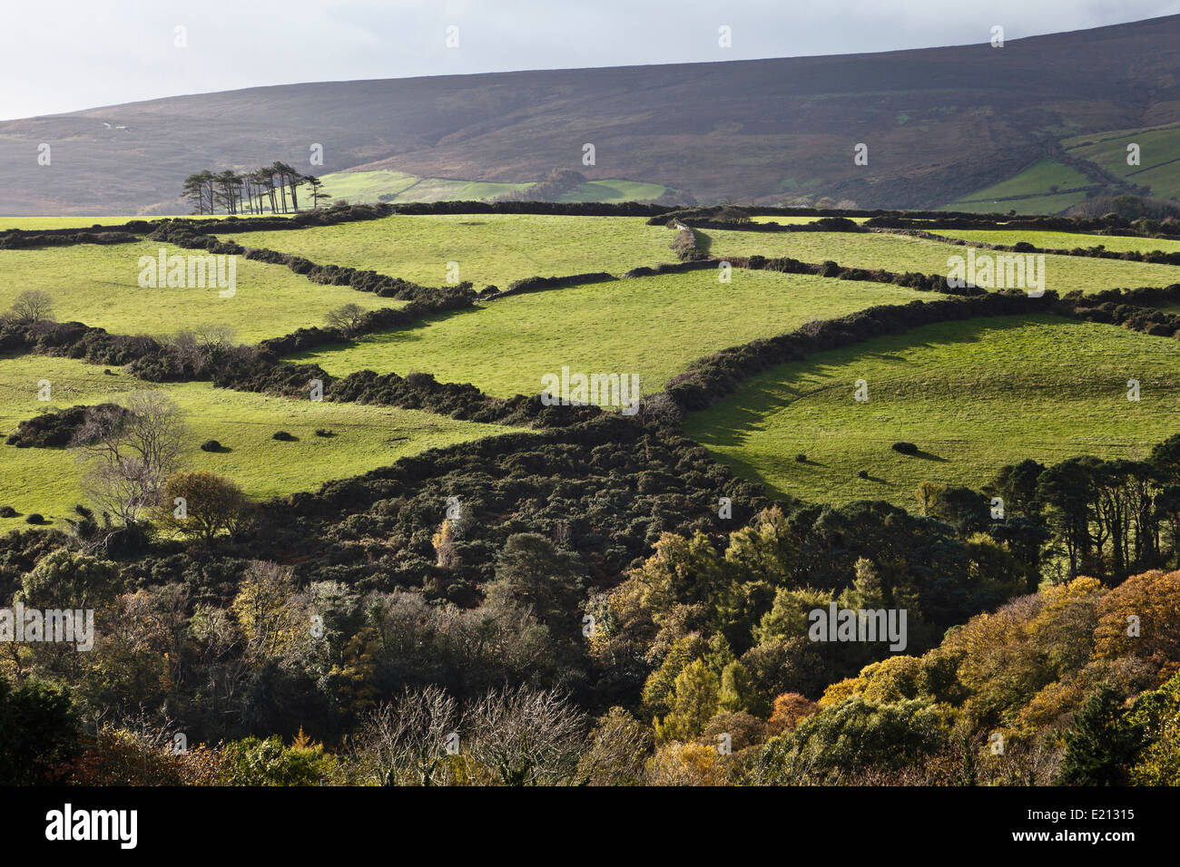 View across Ballaglass Glen towards Snaefell, near Maughold, Isle of ...