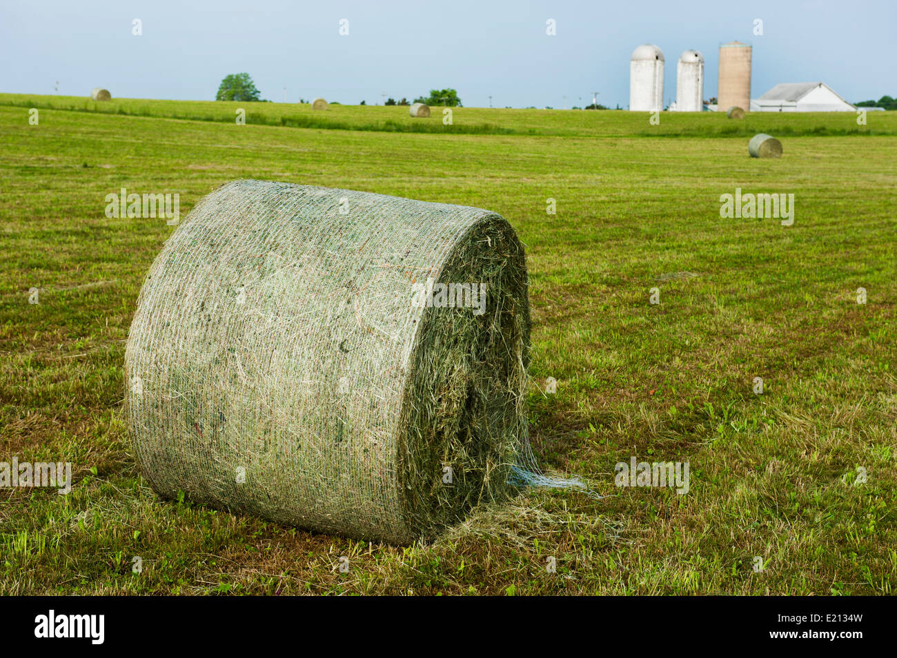Hay silo bales hi-res stock photography and images - Alamy