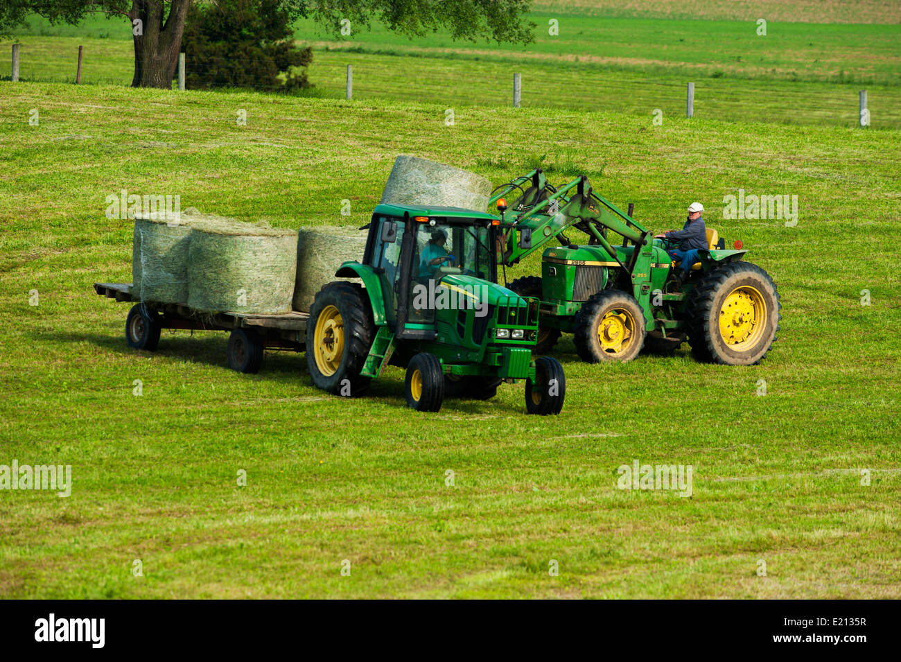 Farmer loading rolls of round baled hay onto a flatbed trailer with ...