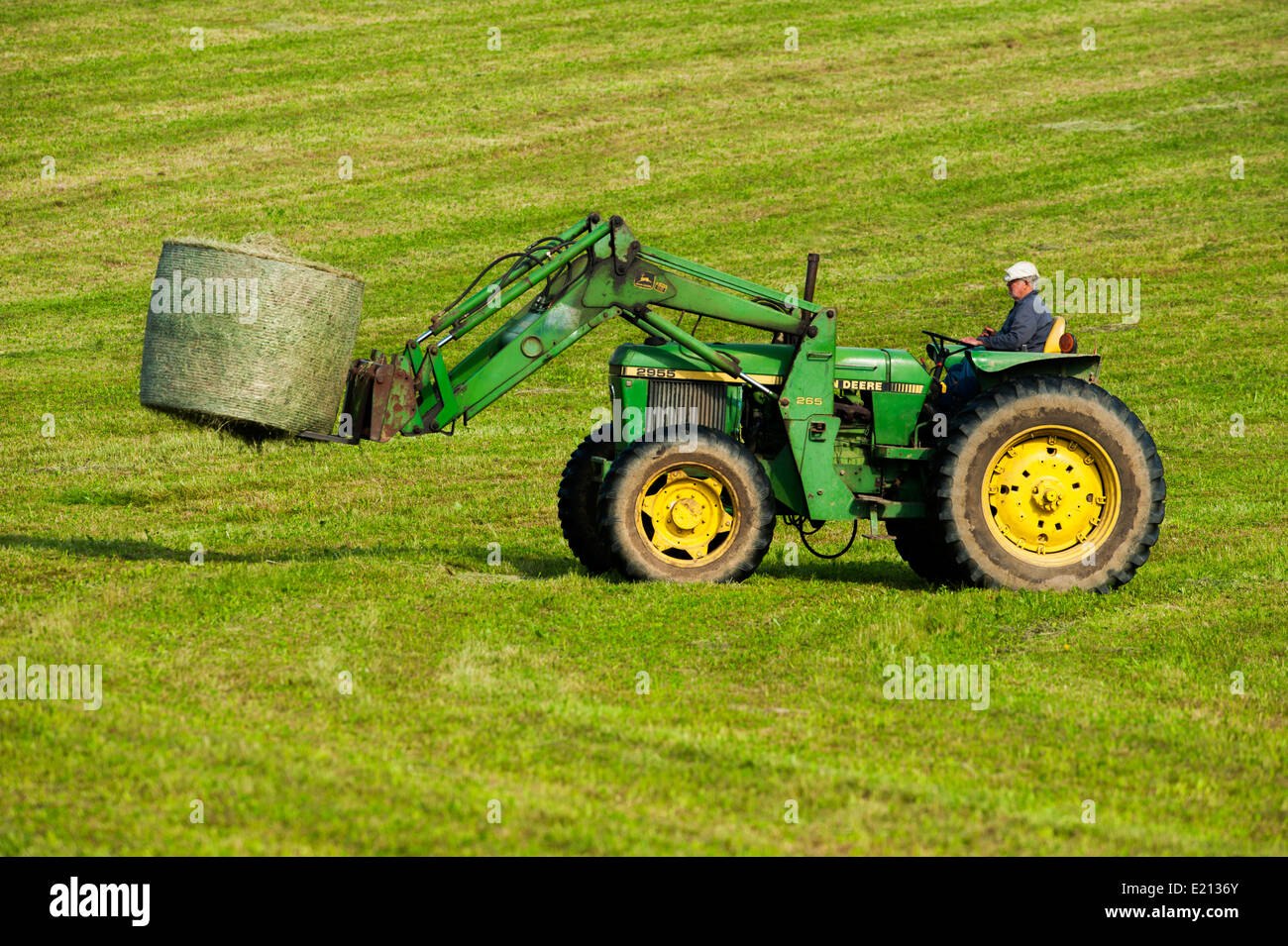 Farmer loading rolls of round baled hay onto a flatbed trailer with ...