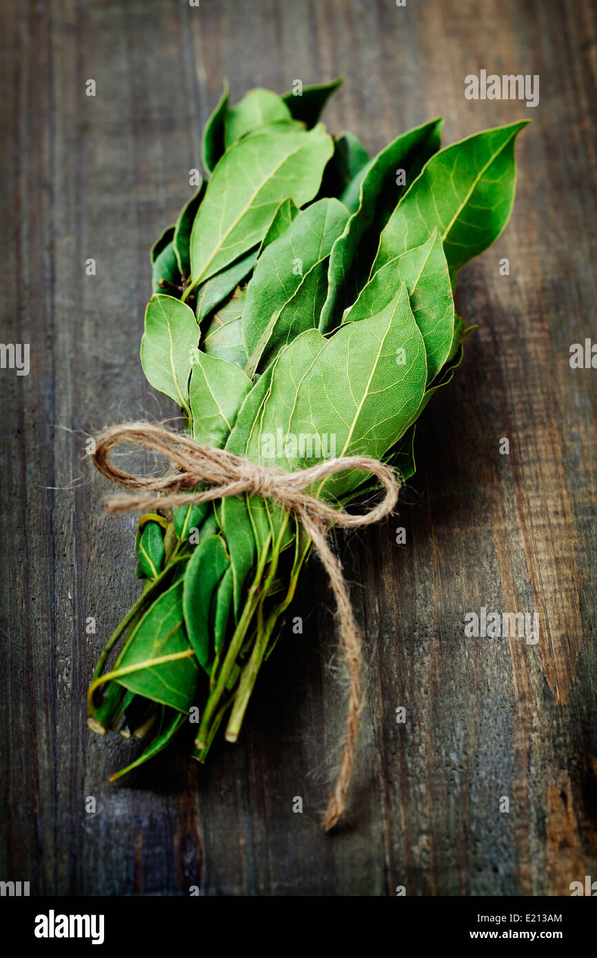 Bay leaves hi-res stock photography and images - Alamy