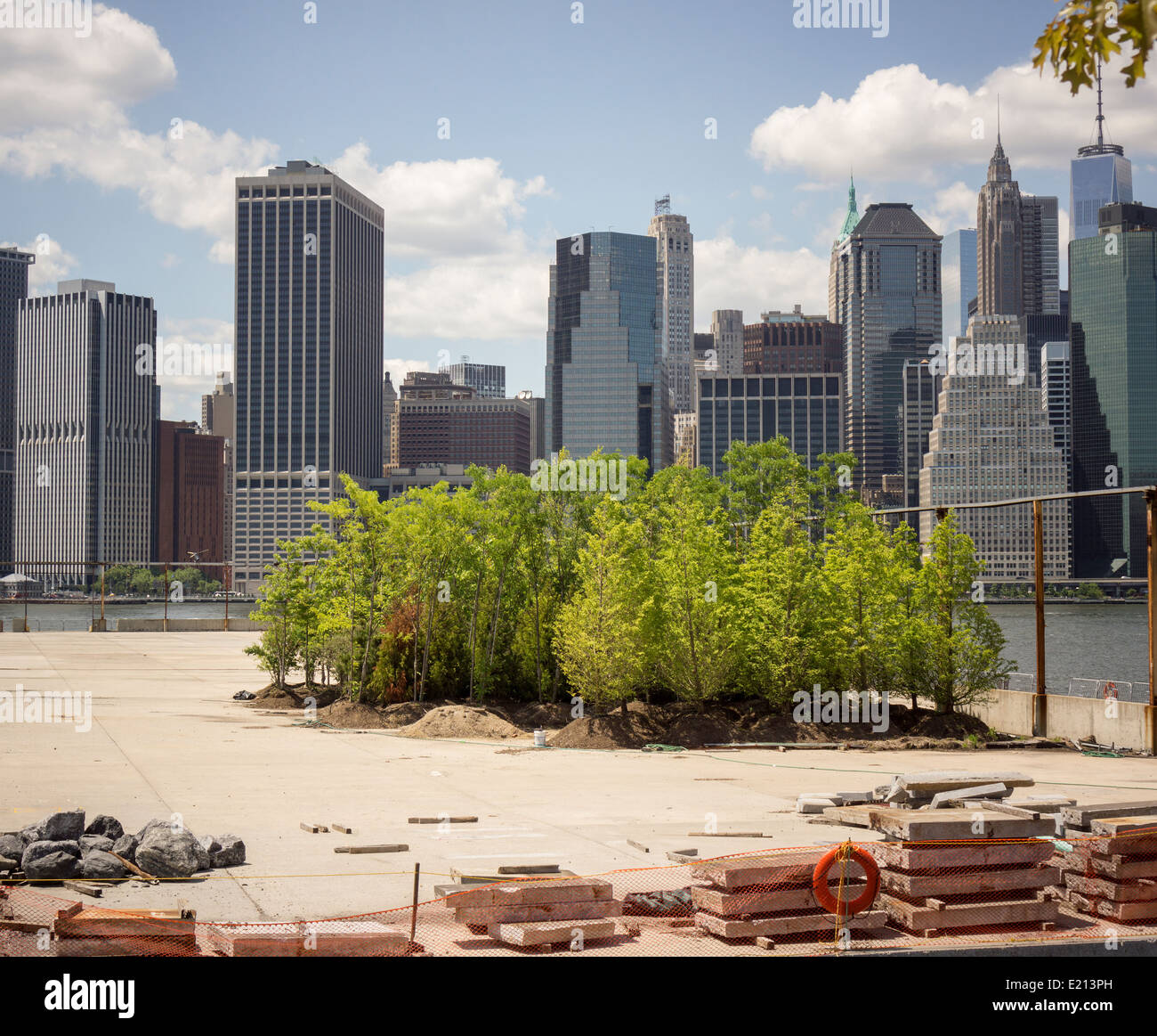 An urban forest waits to be transplanted on an unfinished pier in ...
