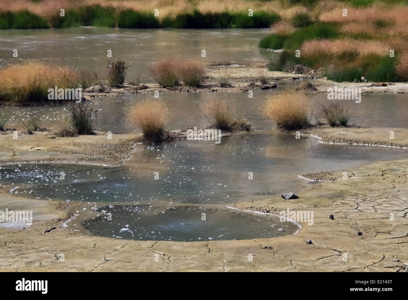 Bubbling mud pool Stock Photo - Alamy