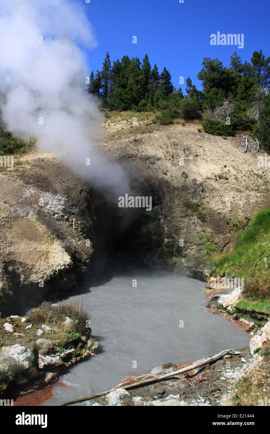 Dragon's Mouth Spring at Yellowstone National Park Stock Photo - Alamy