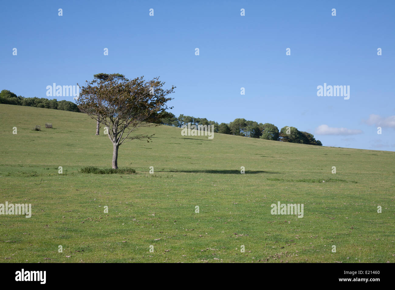 A stroll in the countryside hi-res stock photography and images - Alamy