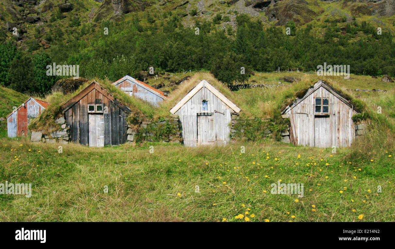 Typical wooden huts with grass on roof in the Nupsstadur farm, South ...