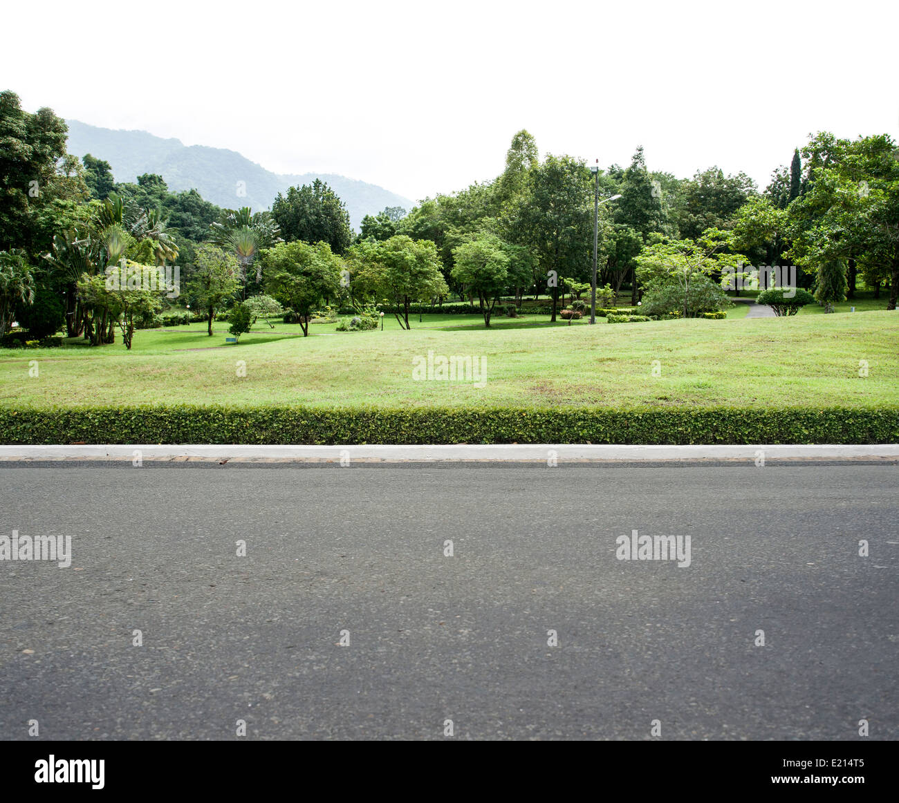 Road side view garden background Stock Photo - Alamy