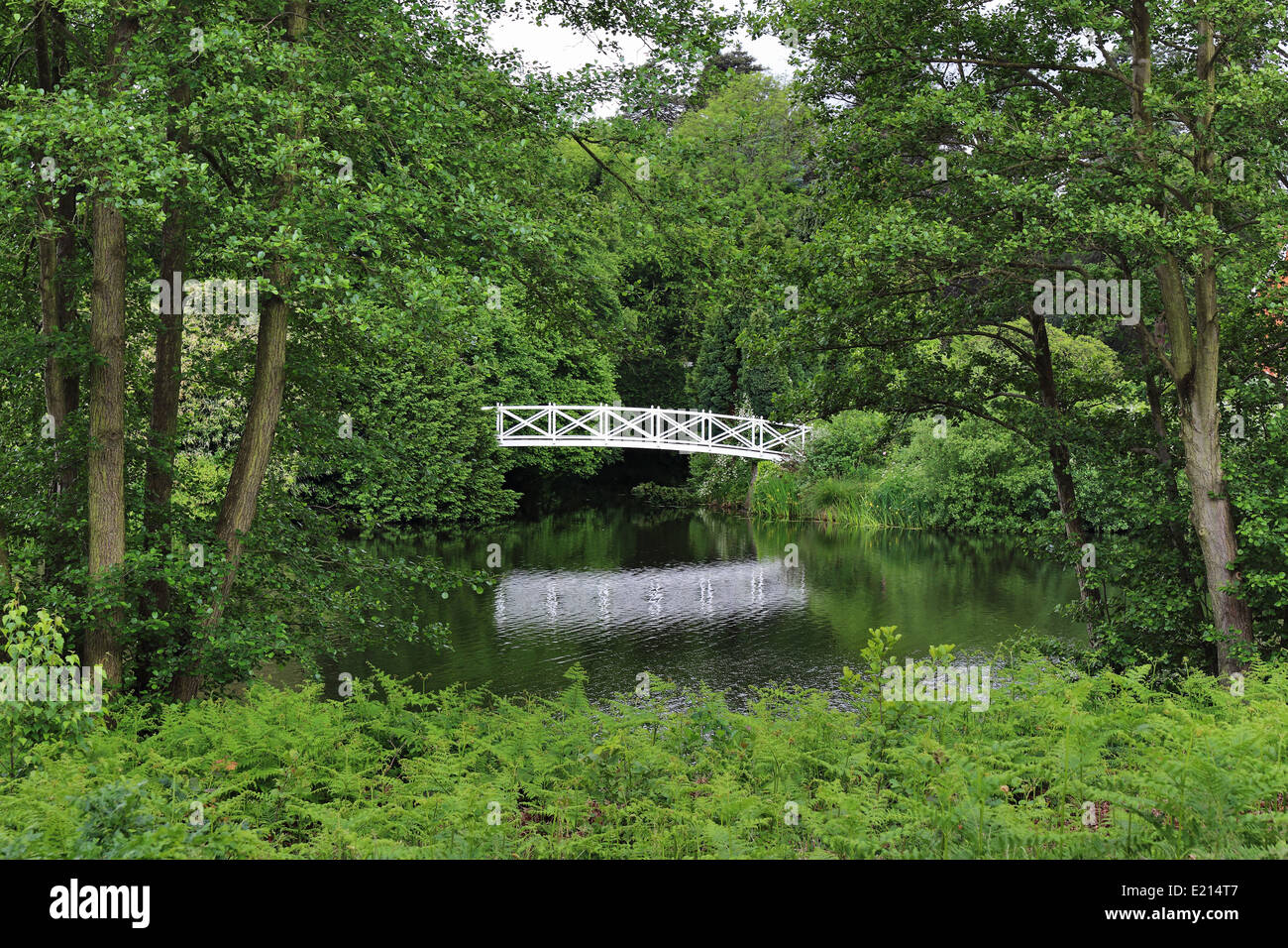 White Footbridge over a secluded woodland lake Stock Photo - Alamy