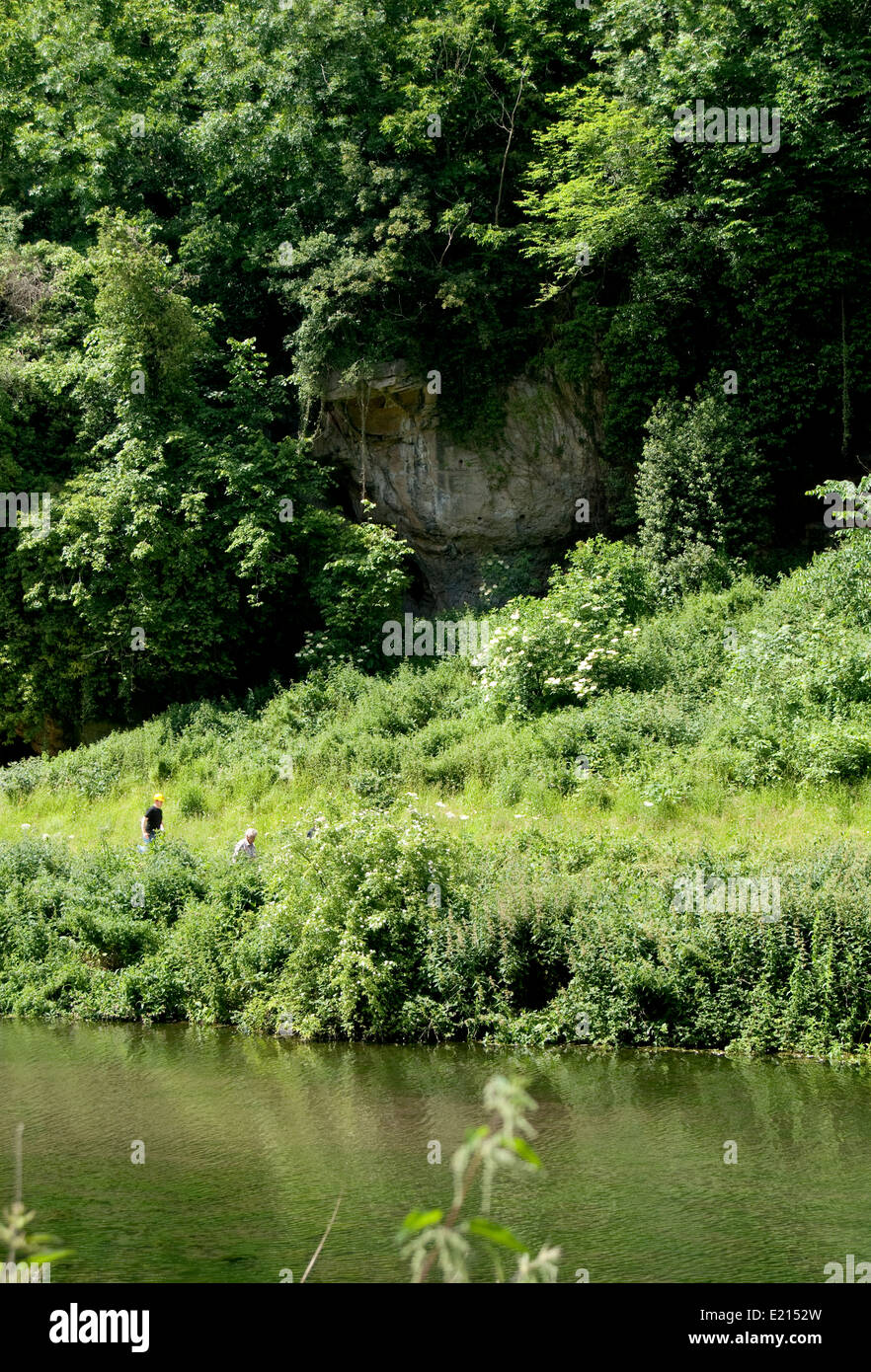 Creswell Crags Limestone Gorge on Derbyshire/ Nottinghamshire Border ...