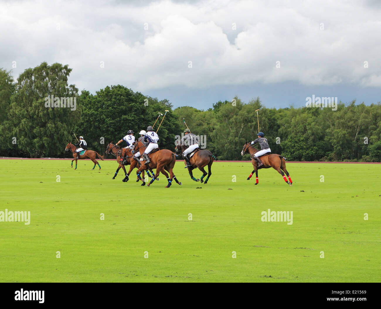 Polo hi-res stock photography and images - Alamy