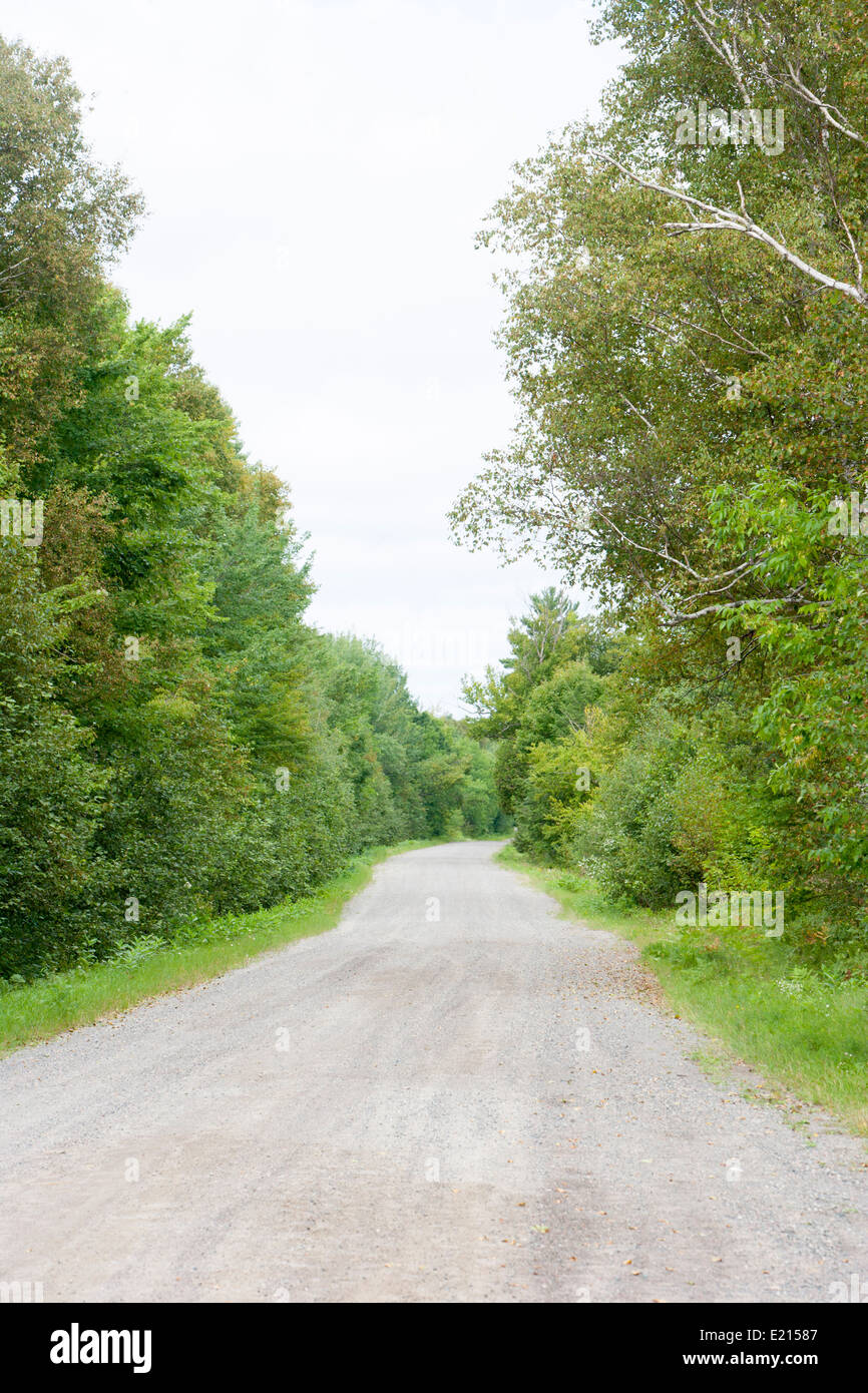 A tree lined rural dirt road Stock Photo - Alamy