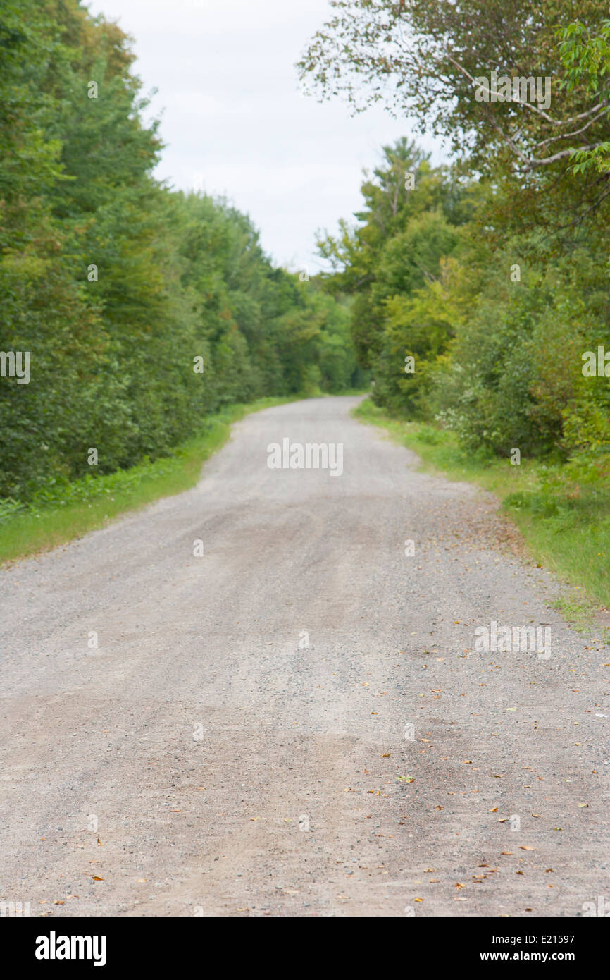 A tree lined rural dirt road Stock Photo - Alamy