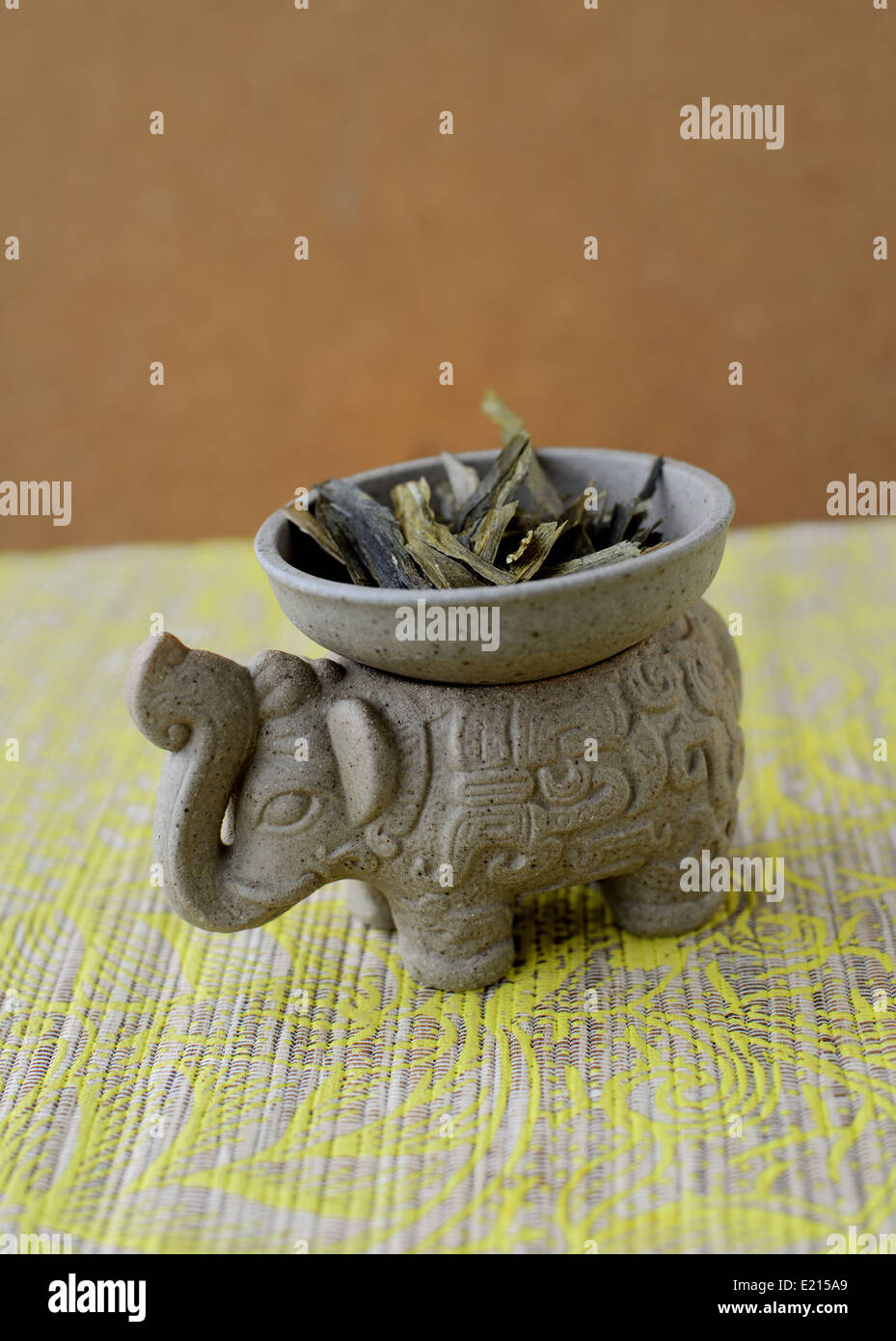 Asian elephant eating tea hi-res stock photography and images - Alamy