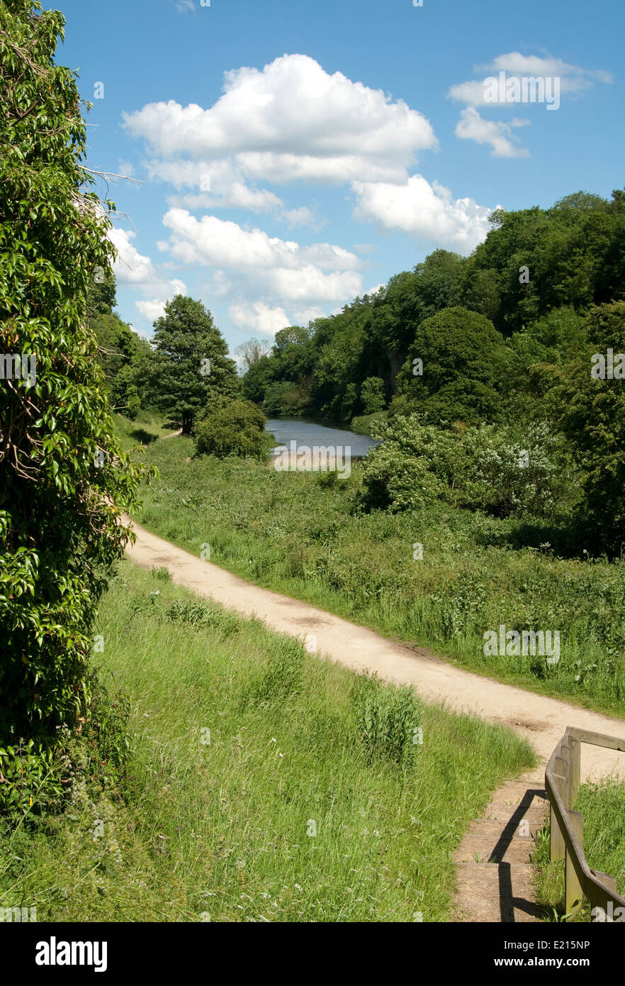 Creswell Crags Limestone Gorge on Derbyshire/ Nottinghamshire Border ...