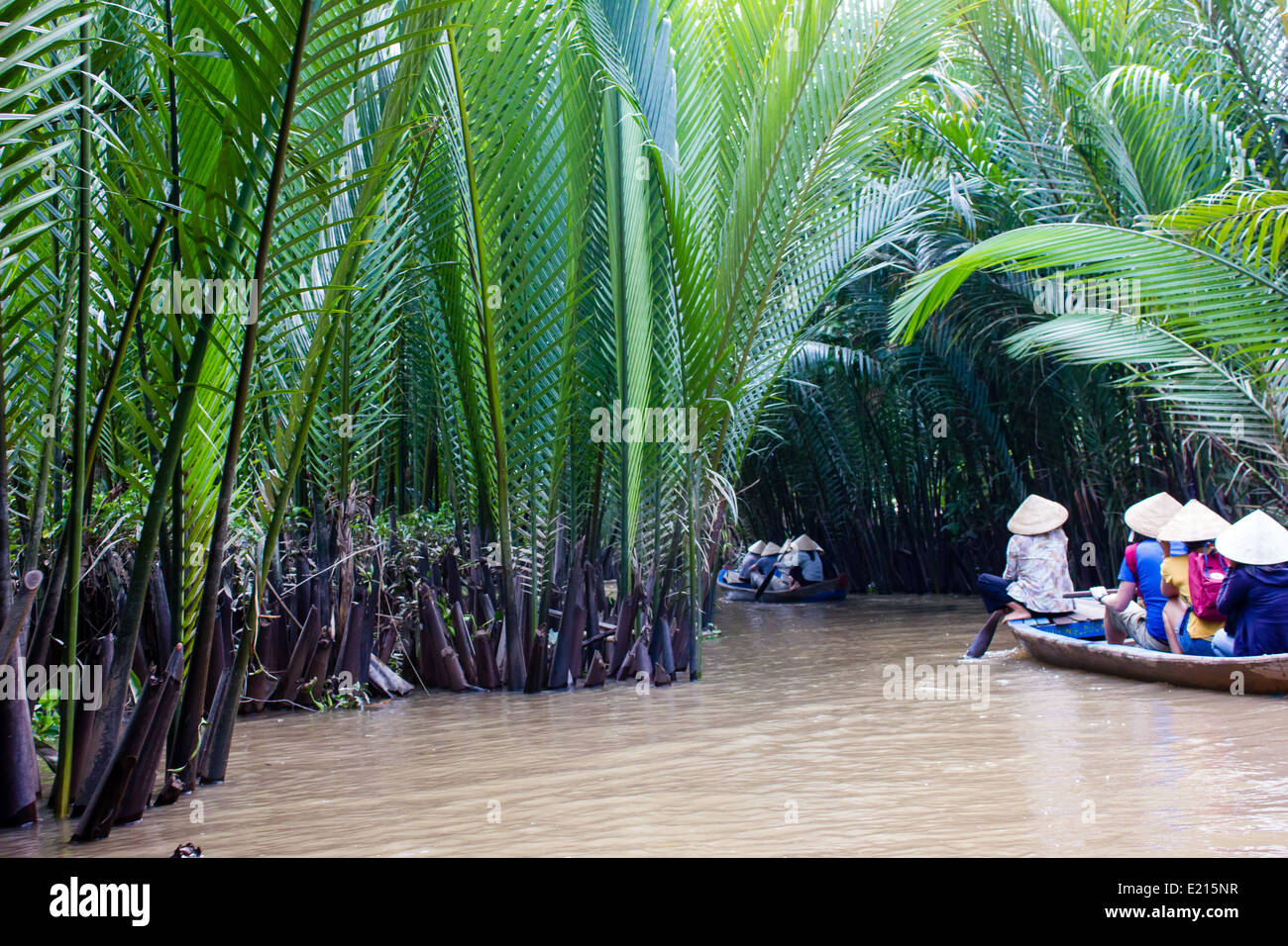 Mekong Delta River