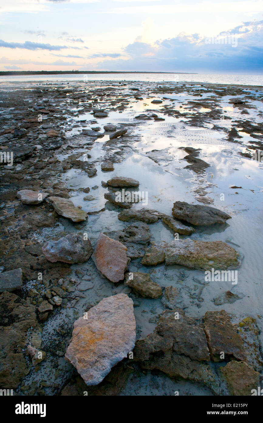 Rocky Cuban coastline Stock Photo - Alamy