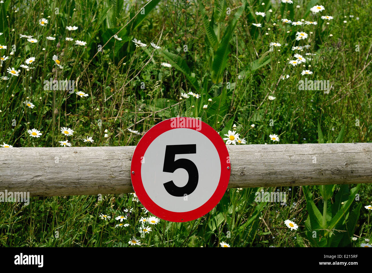 Five mph Speed Limit Sign Stock Photo - Alamy