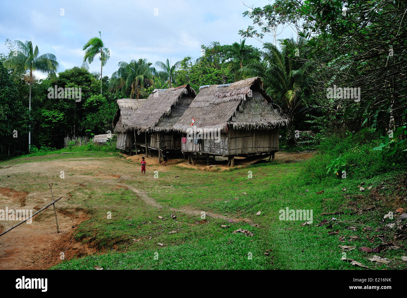 Traditional house in Industria - PANGUANA . Department of Loreto .PERU ...